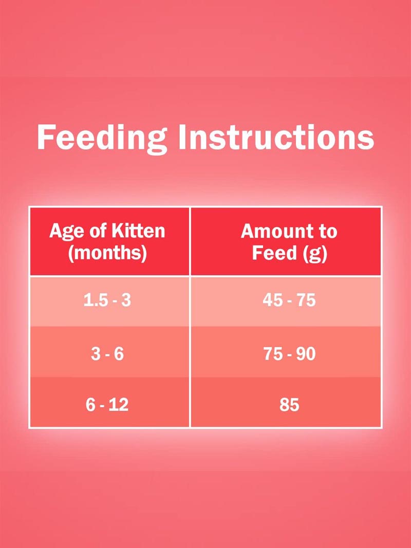 Kitten Feeding Chart By Age Discount Deals Clc cet edu
